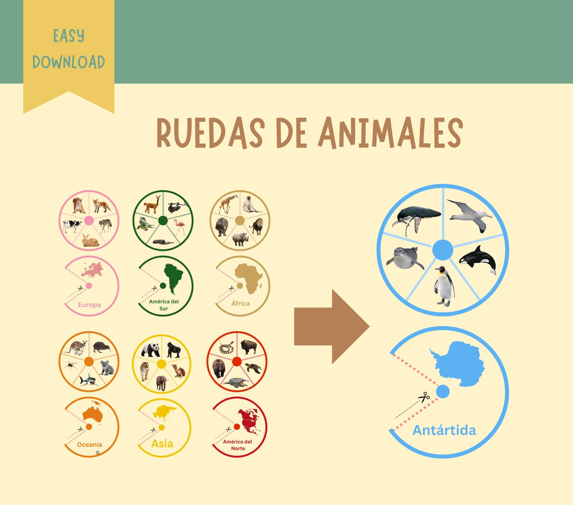 GEOGRAPHY Resources in SPANISH. Actividades En ESPAÑOL Para Niños ...