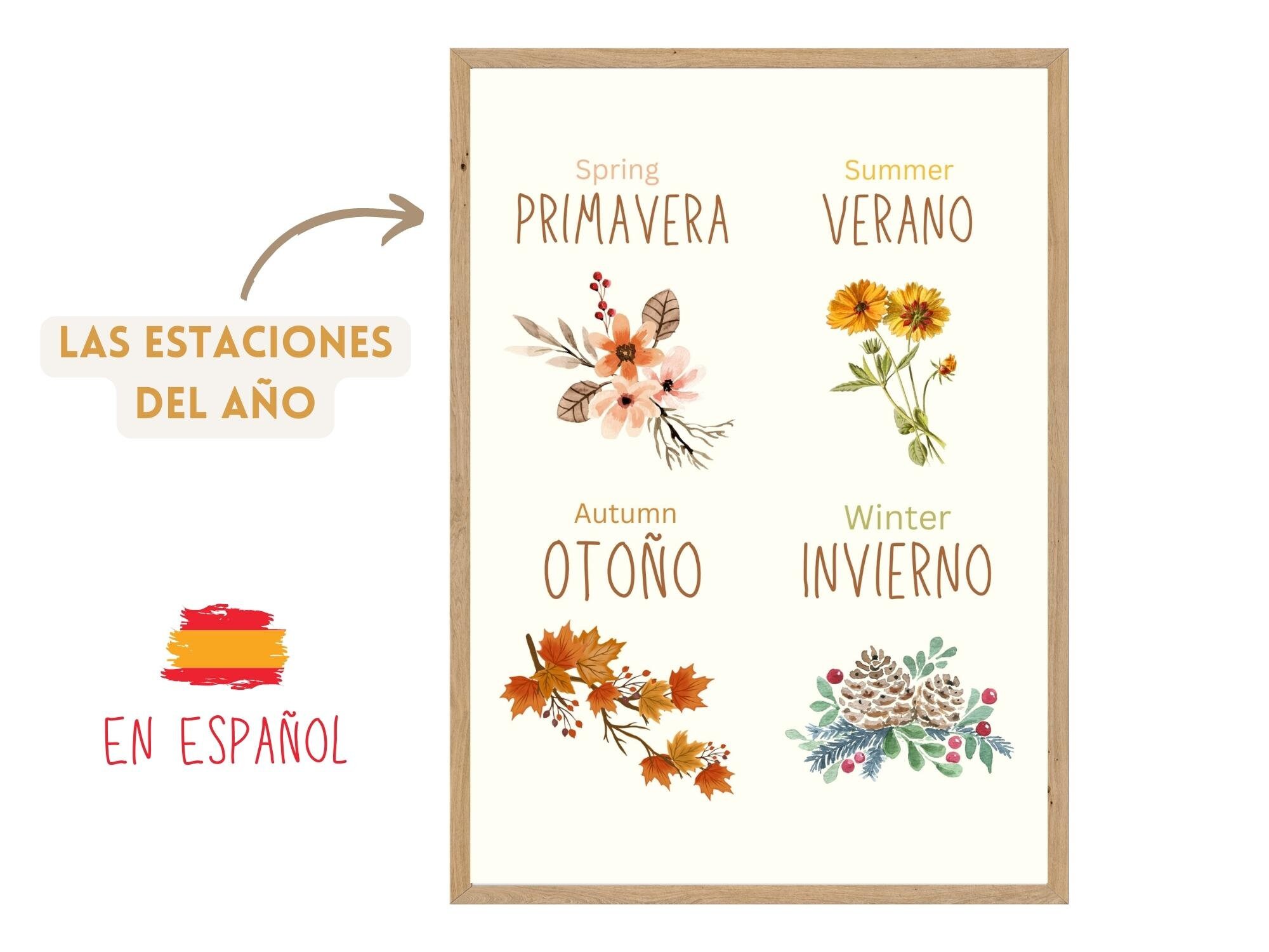 Las ESTACIONES Del AÑO, Digital Download, Seasons of the Year, SPANISH ...