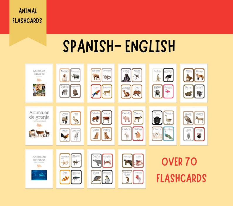 SPANISH/ ENGLISH Animal FLASHCARDS. Real Images, Digital Download, Over ...