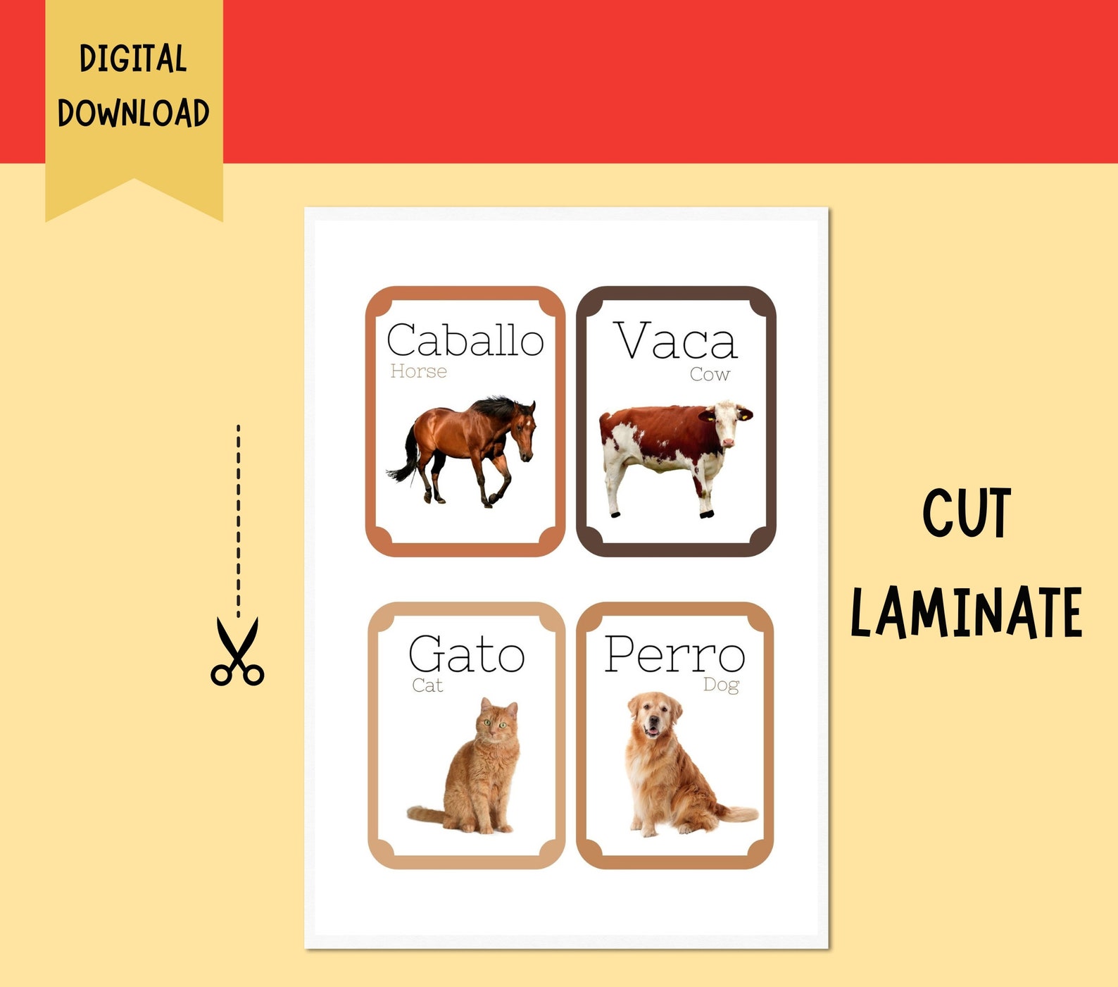 SPANISH/ ENGLISH Animal FLASHCARDS. Real Images, Digital Download, Over ...