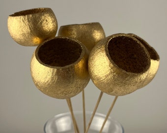 Dried Bell Pods - Etsy