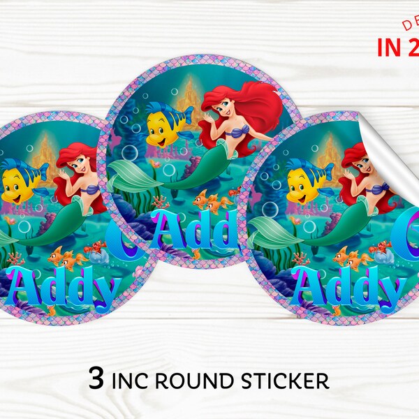 Custom Ariel Stickers - Etsy
