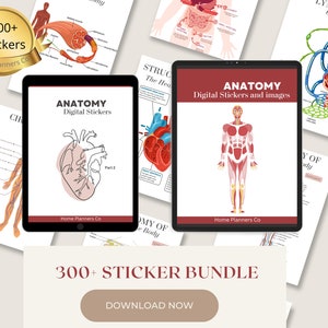 300 Anatomy Stickers Bundle, Anatomy Organ Images, Goodnotes Stickers ...