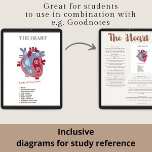 300+ Anatomy Stickers Bundle, Anatomy Organ Images, Goodnotes Stickers ...