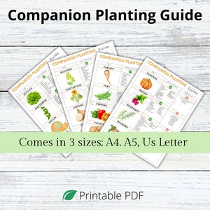Companion Planting Guide, Garden Organizer, Plant Guide, Plant Planner ...