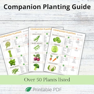 Companion Planting Guide, Garden Organizer, Plant Guide, Plant Planner ...