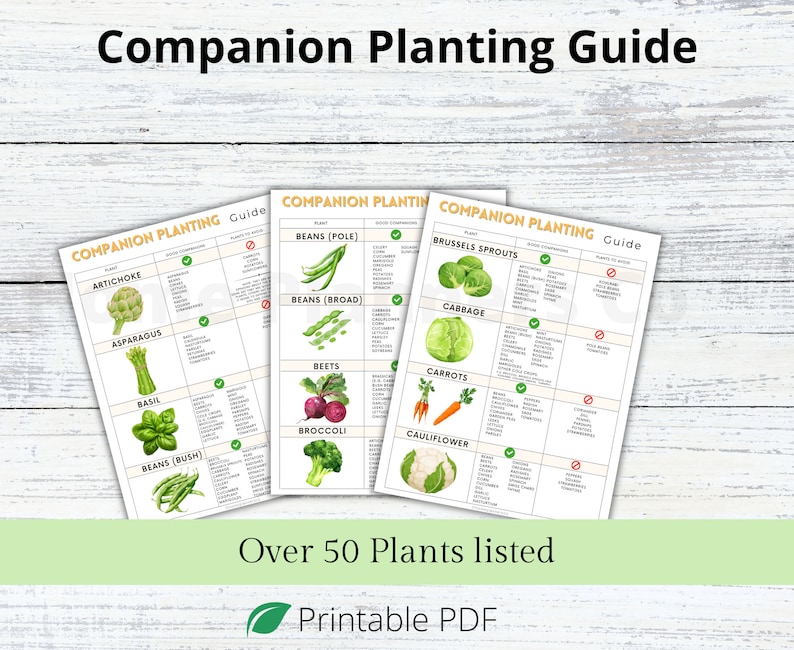 Companion Planting Guide, Garden Organizer, Plant Guide, Plant Planner ...