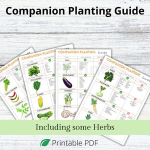 Companion Planting Guide, Garden Organizer, Plant Guide, Plant Planner ...
