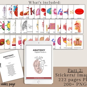 300+ Anatomy Stickers Bundle, Anatomy Organ Images, Goodnotes Stickers ...