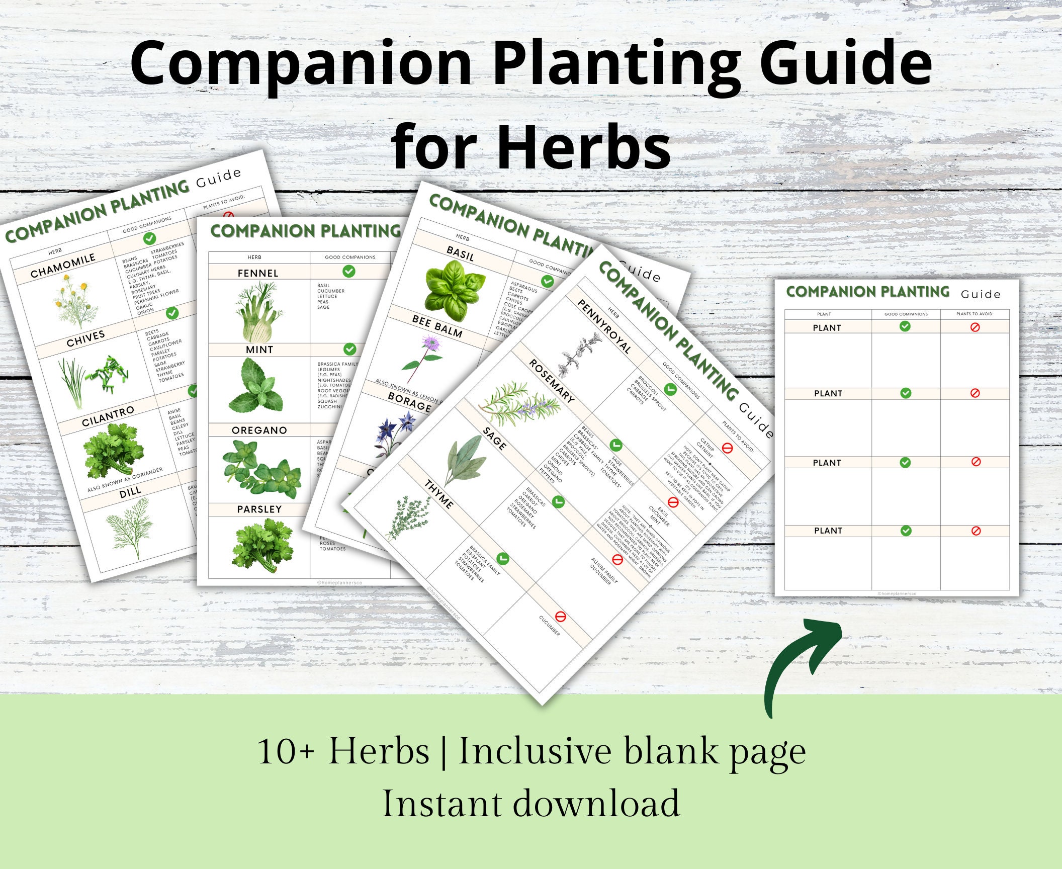 Companion Planting Guide for Herbs, Garden Herb Organizer, Plant Guide ...