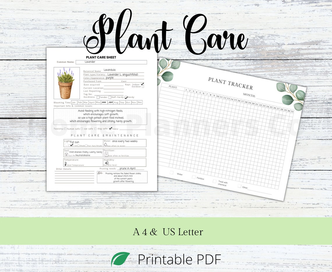 Plant Care Tracker Plant Care Journal Indoor Plant - Etsy