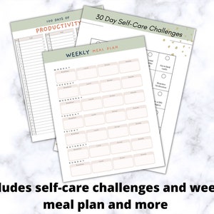 Addiction Recovery Worksheets| Sobriety Worksheets | Sobriety Planner ...