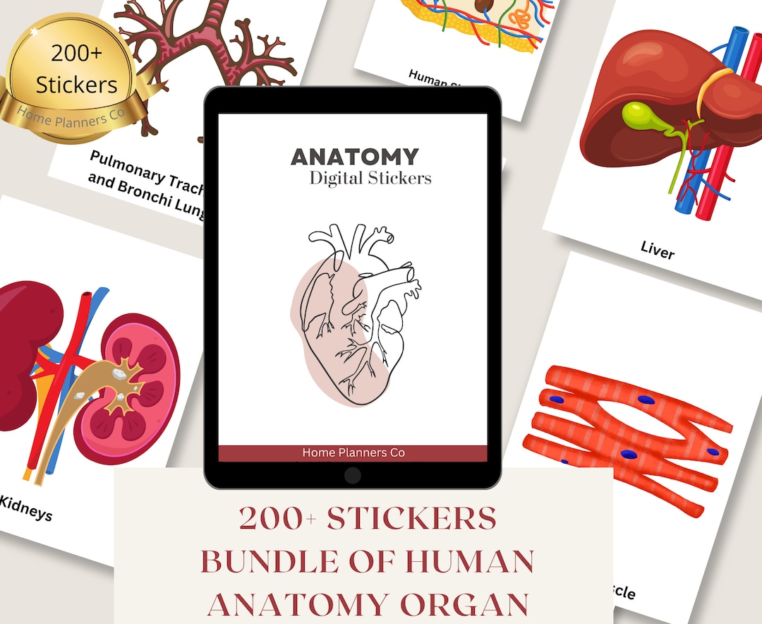 200+ Anatomy Stickers Bundle, Anatomy Images,goodnotes Stickers,nursing ...