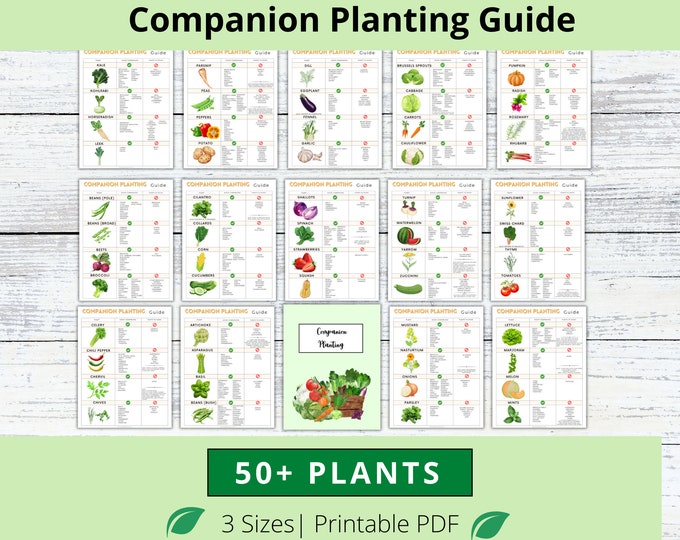 Vegetable Planting Guide - Etsy