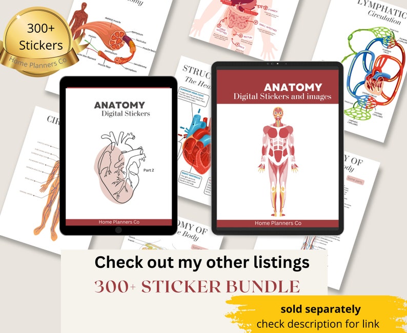 200 Anatomy Stickers Bundle Anatomy Imagesgoodnotes - Etsy