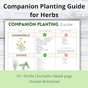 Companion Planting Guide for Herbs, Garden Herb Organizer, Plant Guide ...