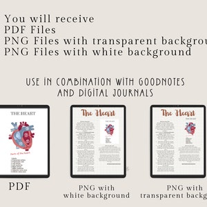 300+ Anatomy Stickers Bundle, Anatomy Organ Images, Goodnotes Stickers ...