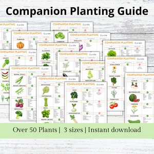 Companion Planting Guide, Garden Organizer, Plant Guide, Plant Planner ...