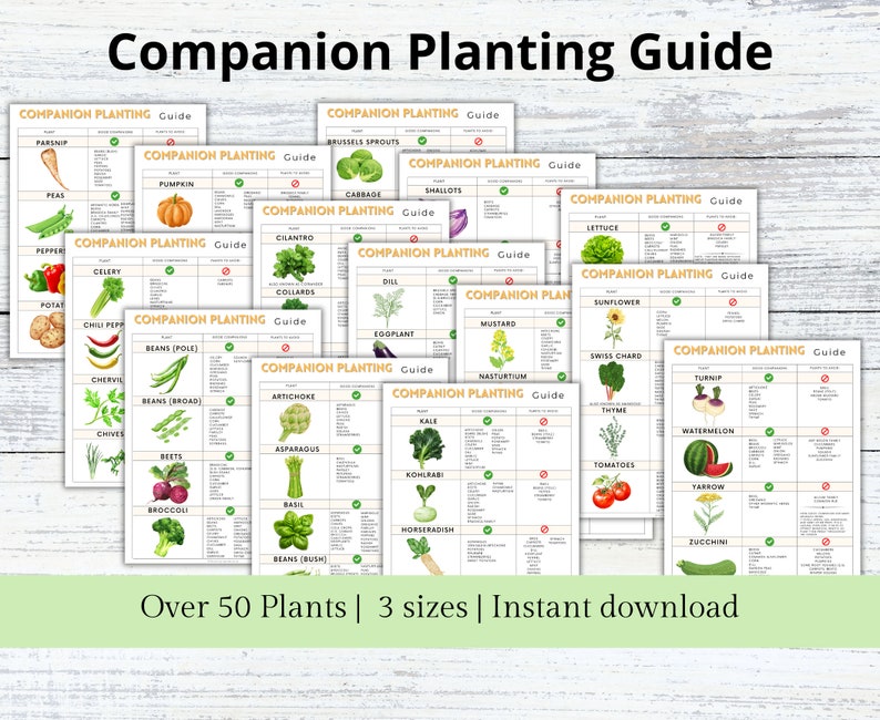 Companion Planting Guide, Garden Organizer, Plant Guide, Plant Planner ...