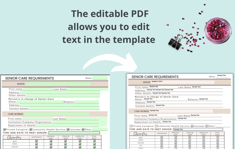 EDITABLE Care Assessment Report Senior Care Requirements - Etsy