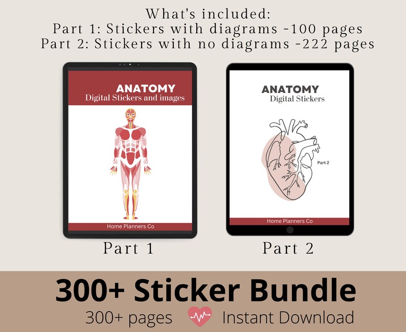 300+ Anatomy Stickers Bundle, Anatomy Organ Images, Goodnotes Stickers ...