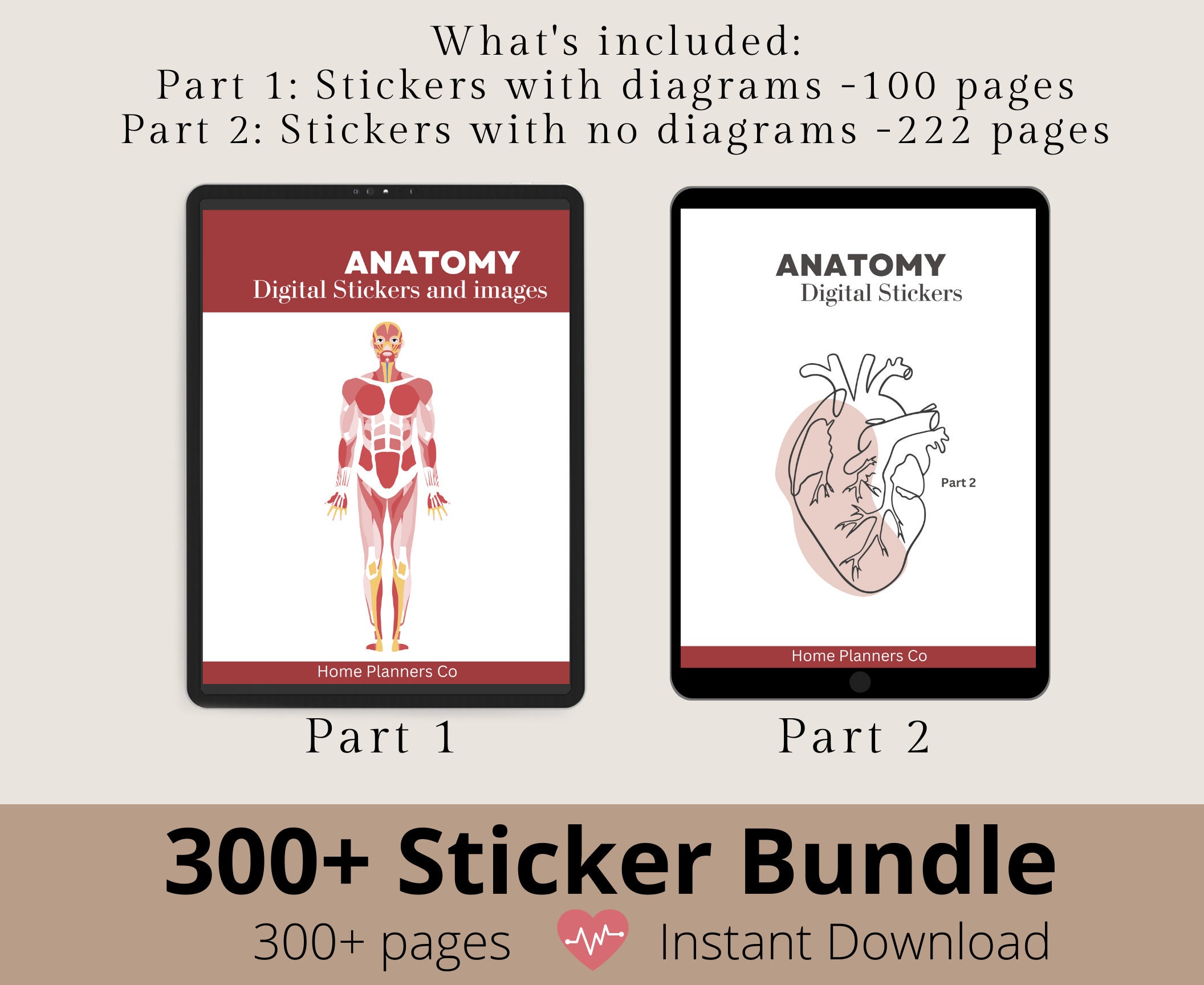 300 Anatomy Stickers Bundle Anatomy Organ Images Goodnotes - Etsy