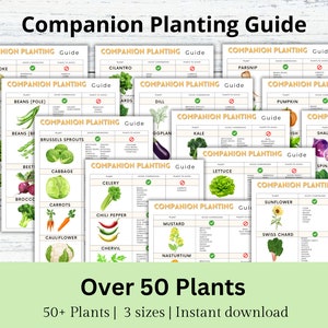 Companion Planting Guide, Garden Organizer, Plant Guide, Plant Planner ...