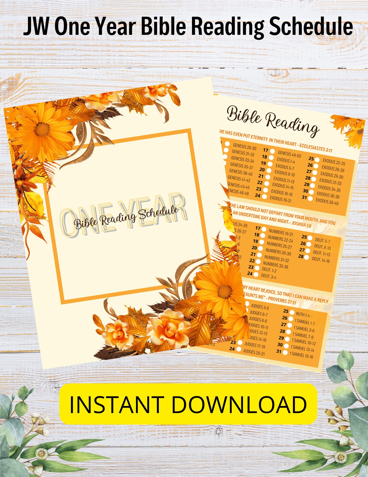 JW One Year Bible Reading Schedule / Digital Download / Printable - Etsy