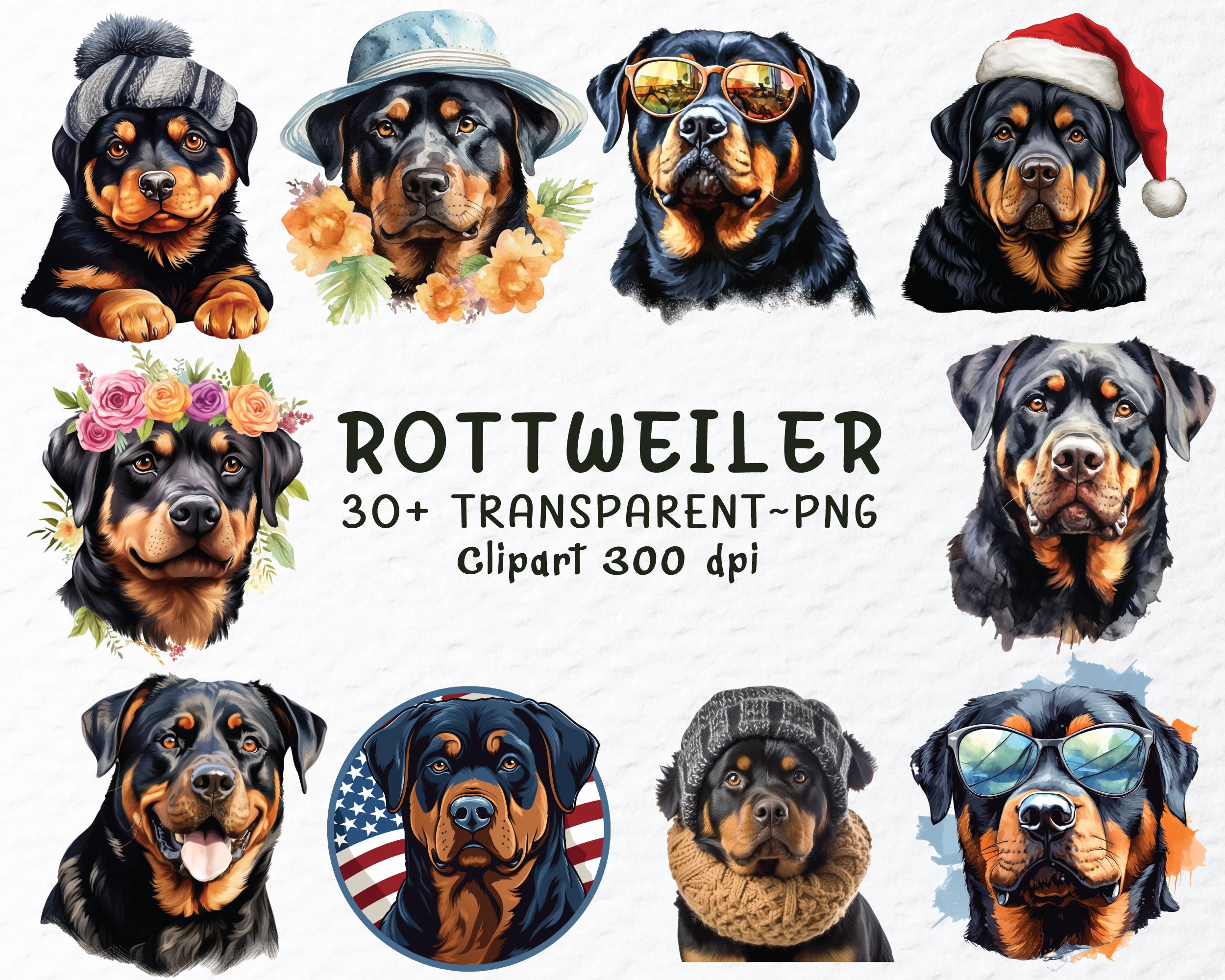 Rottweiler Dog Png Clipart Bundle | Rottweiler Decal Designs, Dogs Png ...
