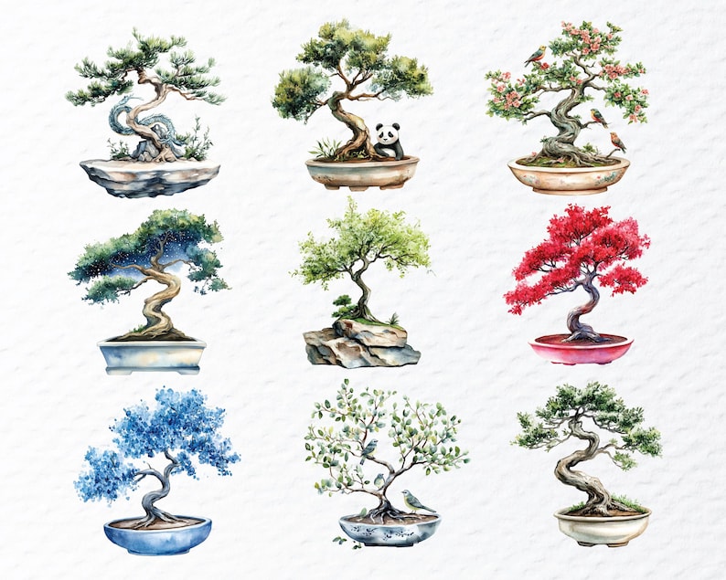 Watercolor Bonsai Tree Clipart Bundle: Japanese PNG Files (digital ...