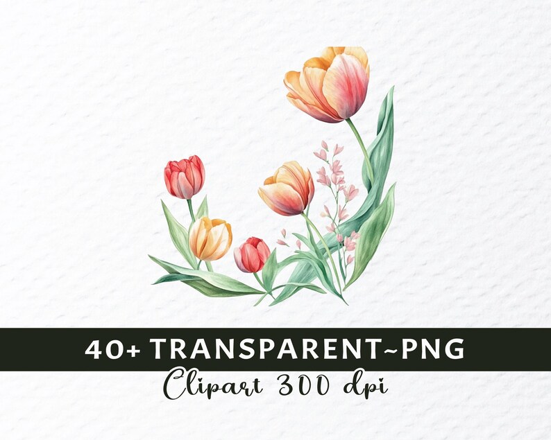 Watercolor Tulip Clipart Bundle: Spring Flower PNG Files (digital ...