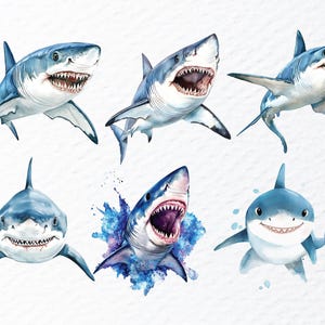 Watercolor Shark Png Clipart Bundle, Shark Png Files, Ocean Animal Png ...