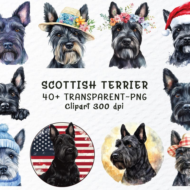 Watercolor Scottish Terrier - Etsy
