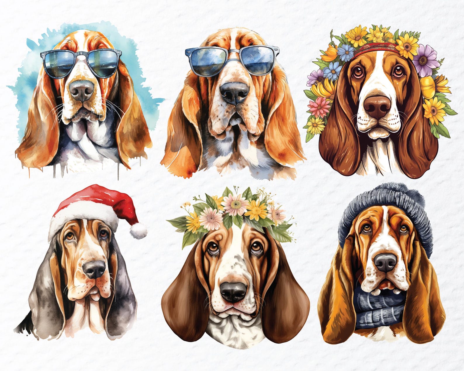 Watercolor Basset Hound Clipart: Dog PNG File (digital Download) - Etsy