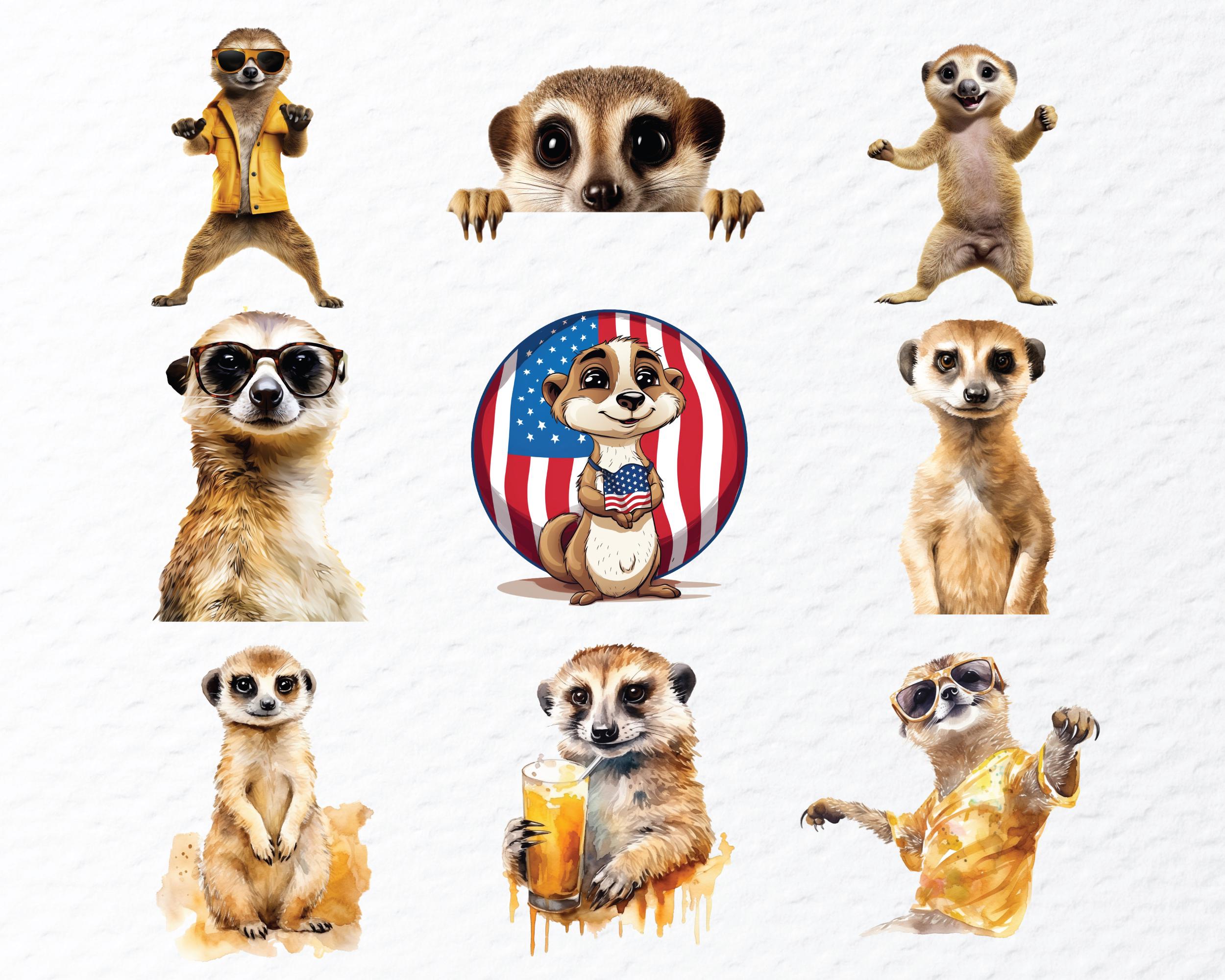 Meerkat Png Clipart Bundle, Watercolor Meerkat Png Files, Safari Animal ...