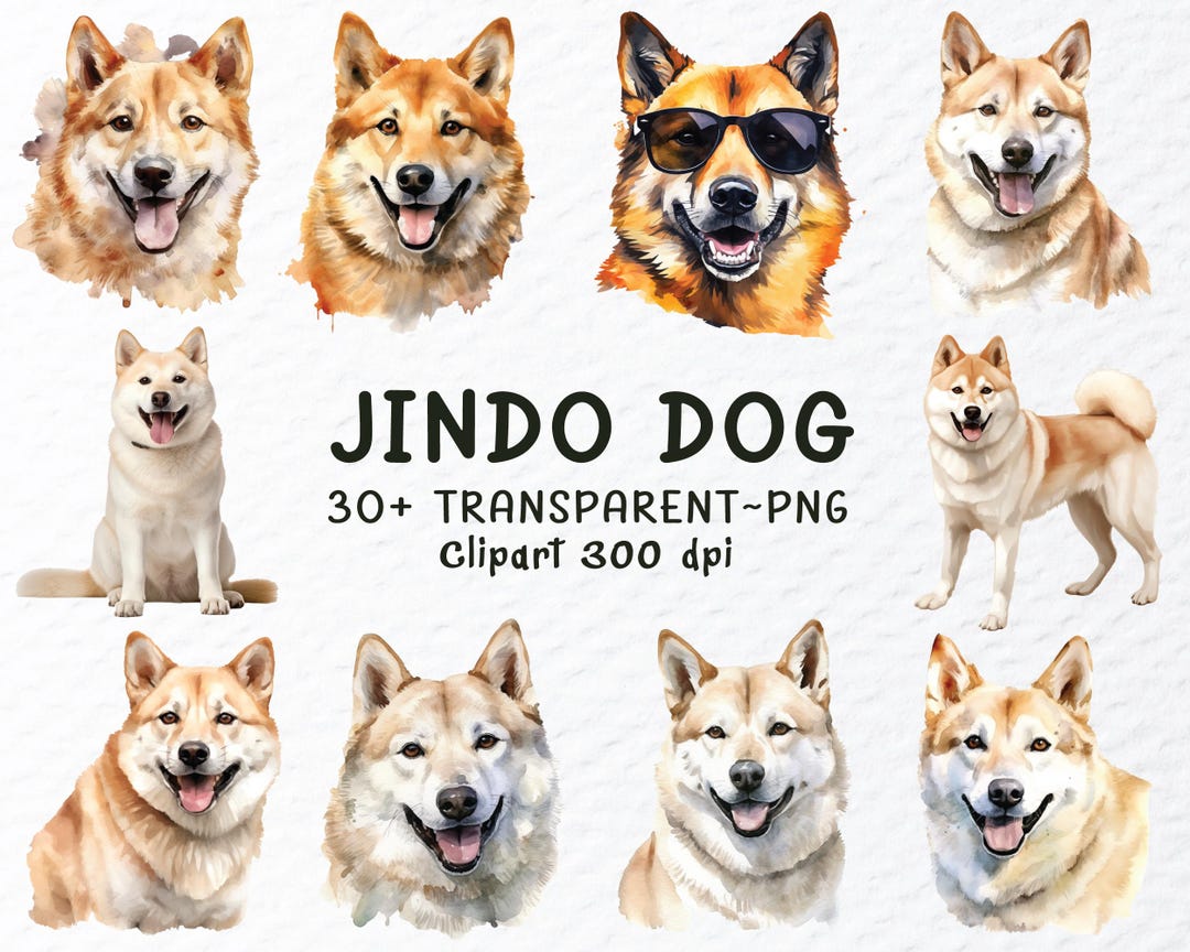 Korean Jindo Dog Png Clipart Bundle | Korean Jindo Decal Png Files ...