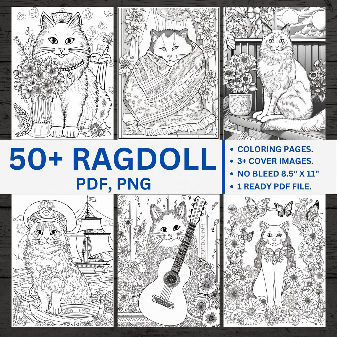 Ragdoll Coloring Pages for Adults Ragdoll Cat Coloring Pages Coloring ...