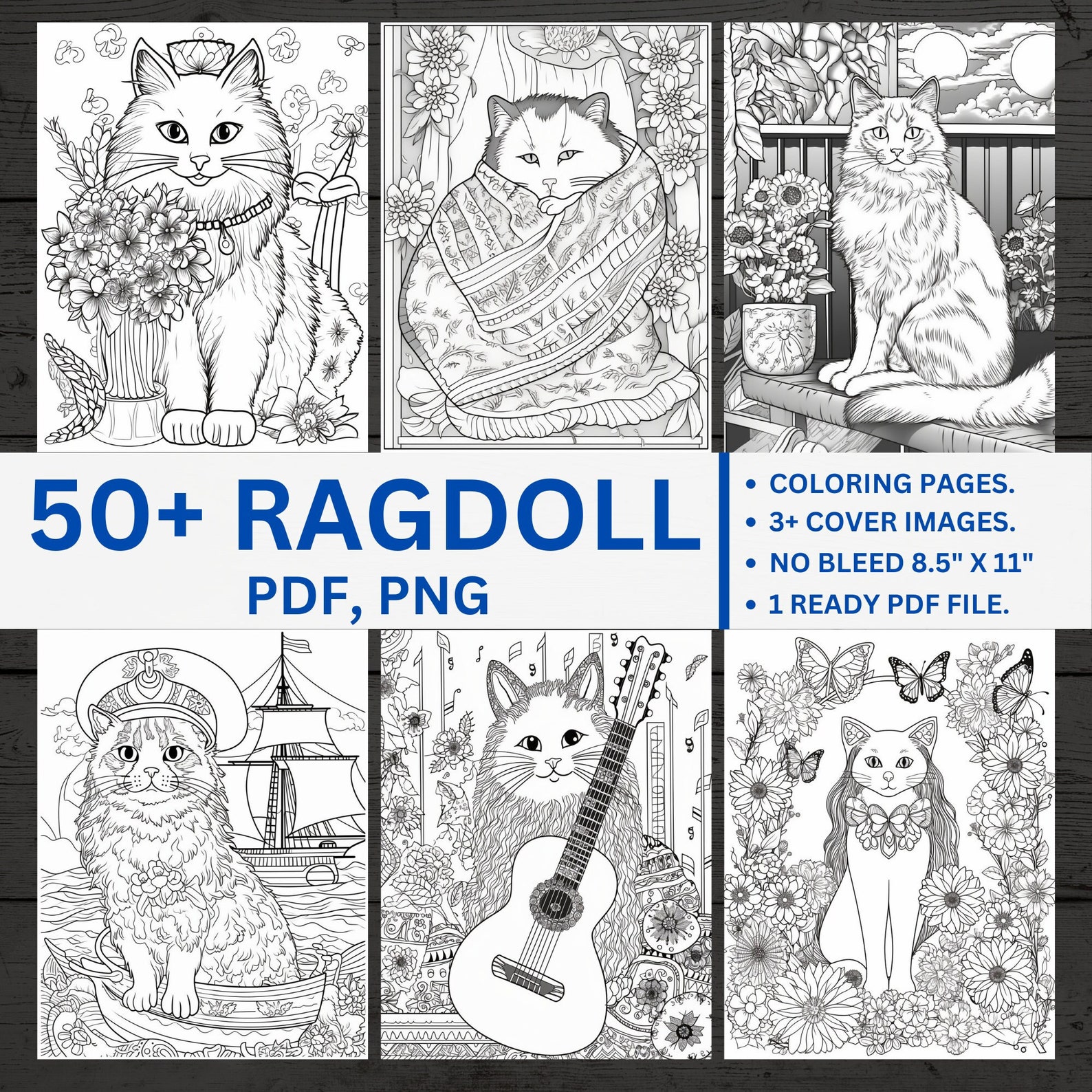 Ragdoll Coloring Pages for Adults Ragdoll Cat Coloring Pages Coloring ...