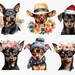 Miniature Pinscher Dog Png Clipart Bundle | Miniature Pinscher Png ...