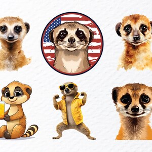 Meerkat Png Clipart Bundle, Watercolor Meerkat Png Files, Safari Animal ...