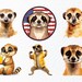 Meerkat Png Clipart Bundle, Watercolor Meerkat Png Files, Safari Animal ...