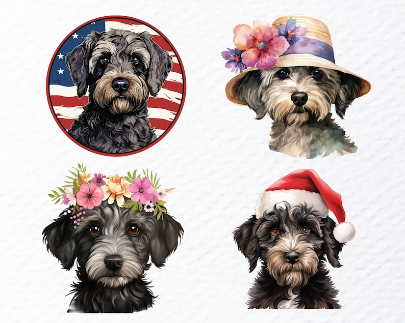 Watercolor Schnoodle Dog PNG Clipart Bundle (digital Download) - Etsy