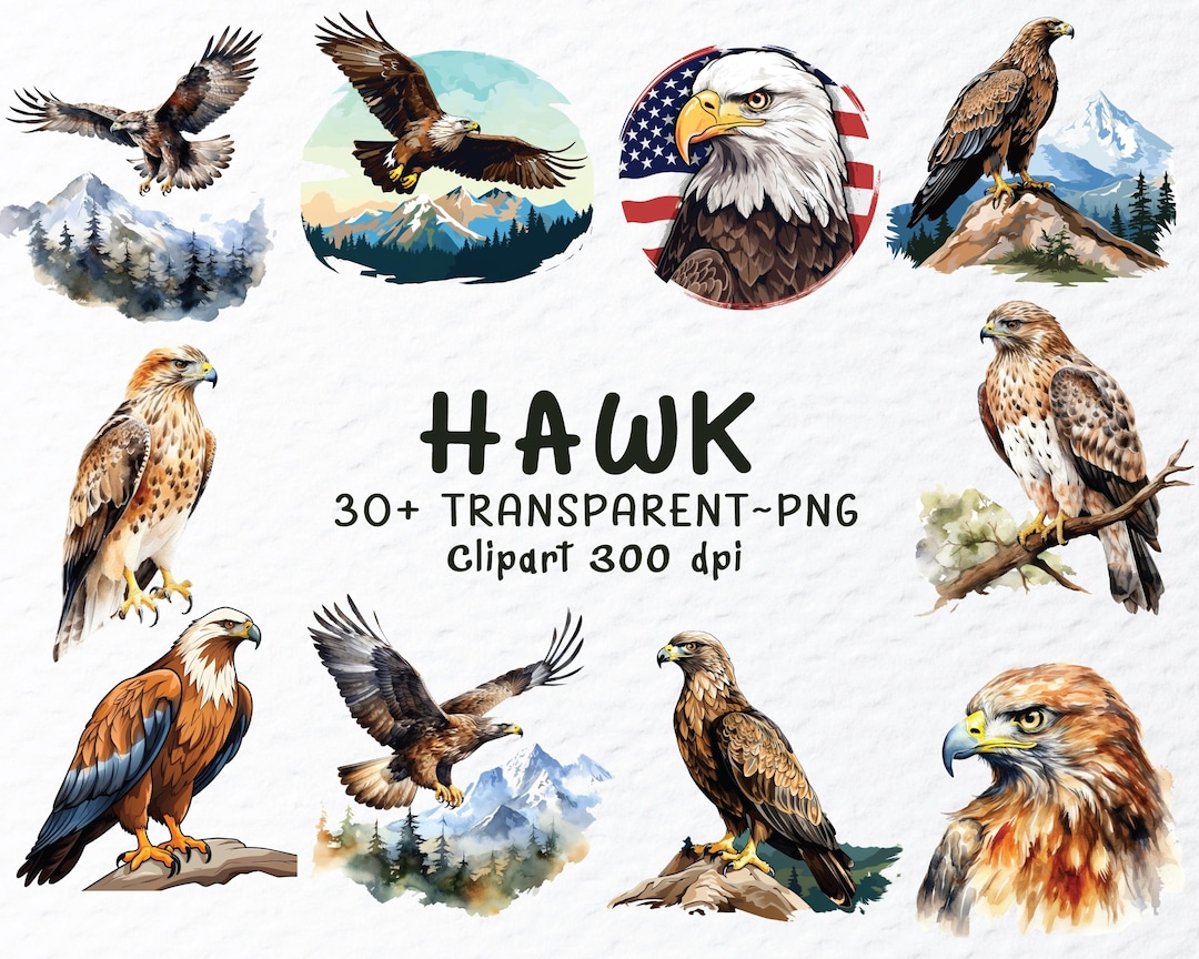 Watercolor Hawk Png Clipart Bundle, Hawk Png Files, Cooper's Hawk ...
