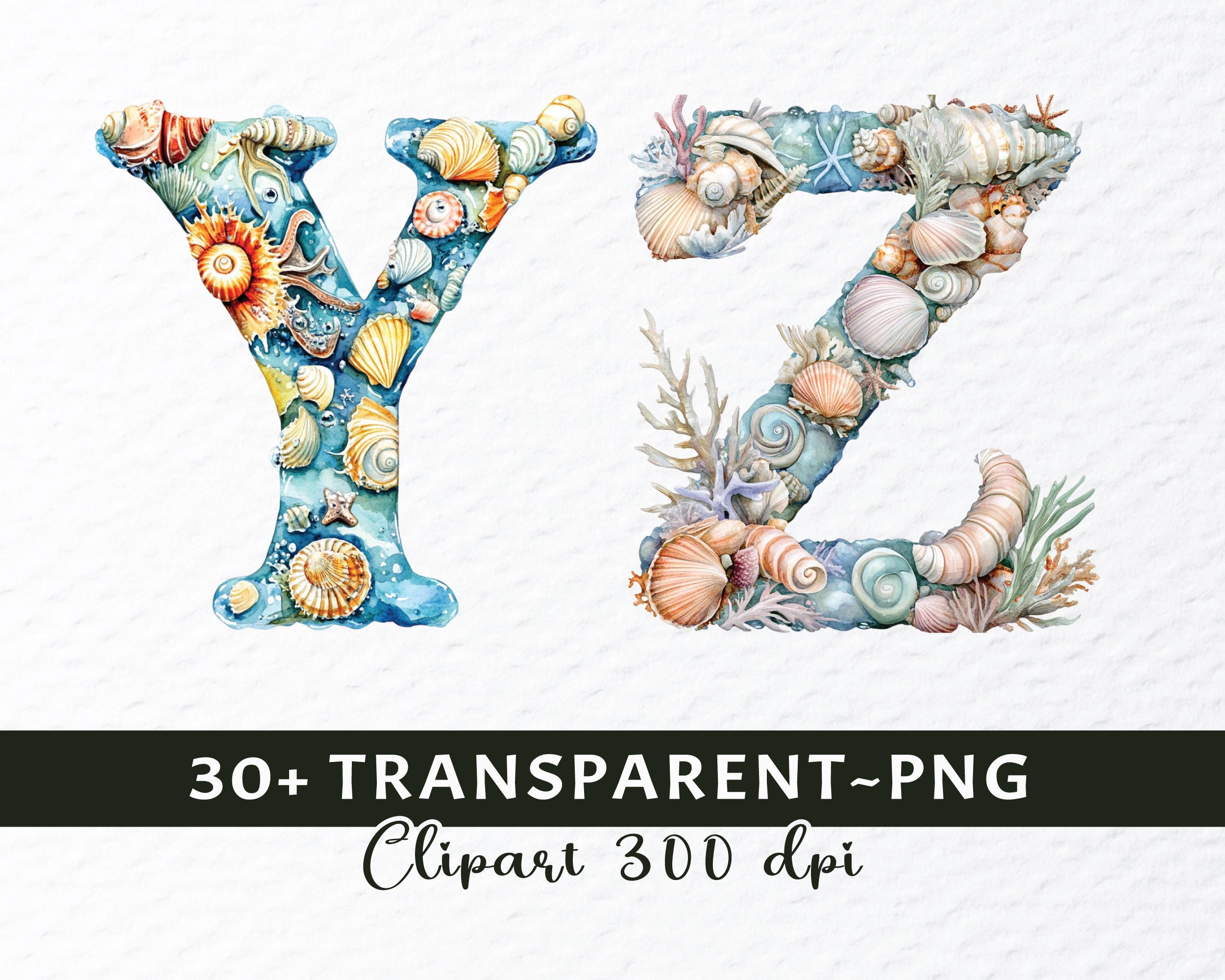 Watercolor Seashell Alphabet Clipart Bundle (PNG Files) - Etsy