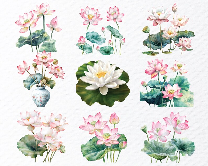 Watercolor Lotus Flower Clipart Bundle (PNG Files) - Etsy