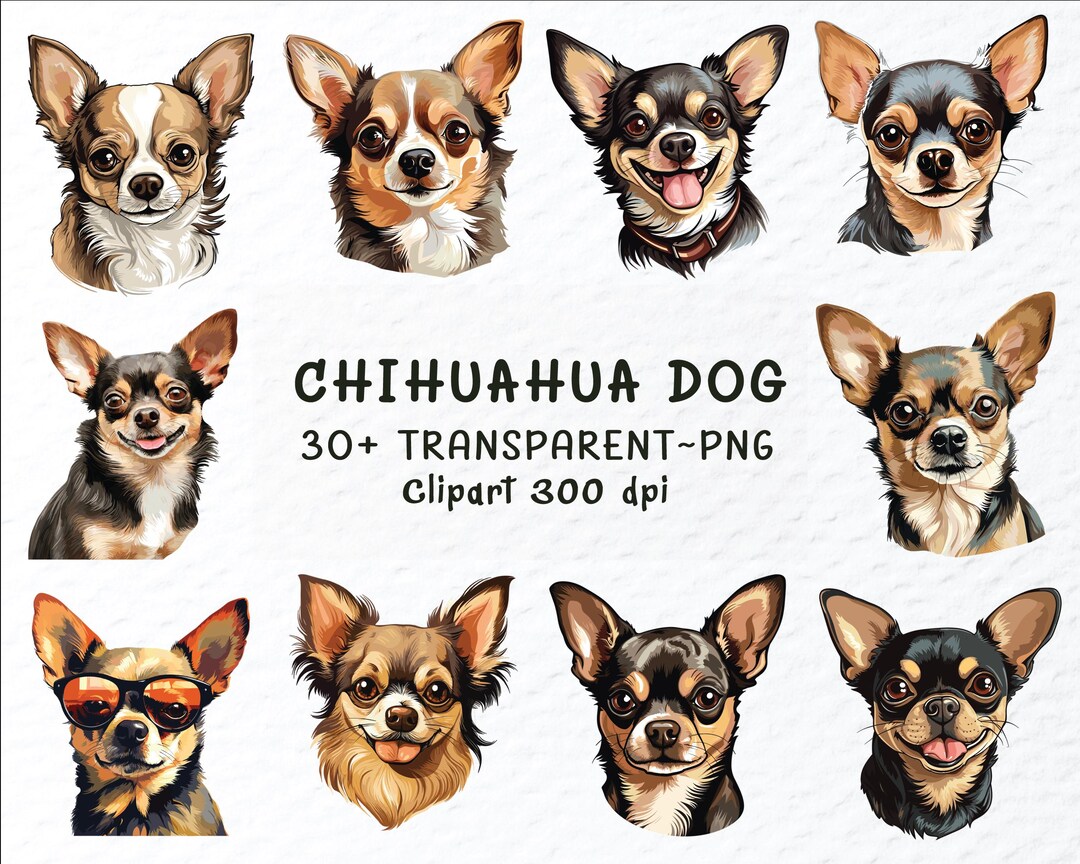Watercolor Chihuahua Dog Clipart Bundle: Puppy Breed PNG Files (digital ...