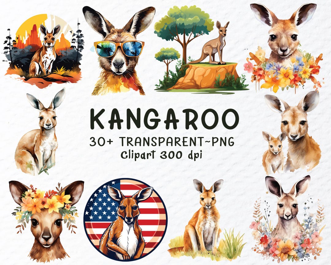 Watercolor Kangaroo Clipart Bundle: Australian Animal PNG Files ...