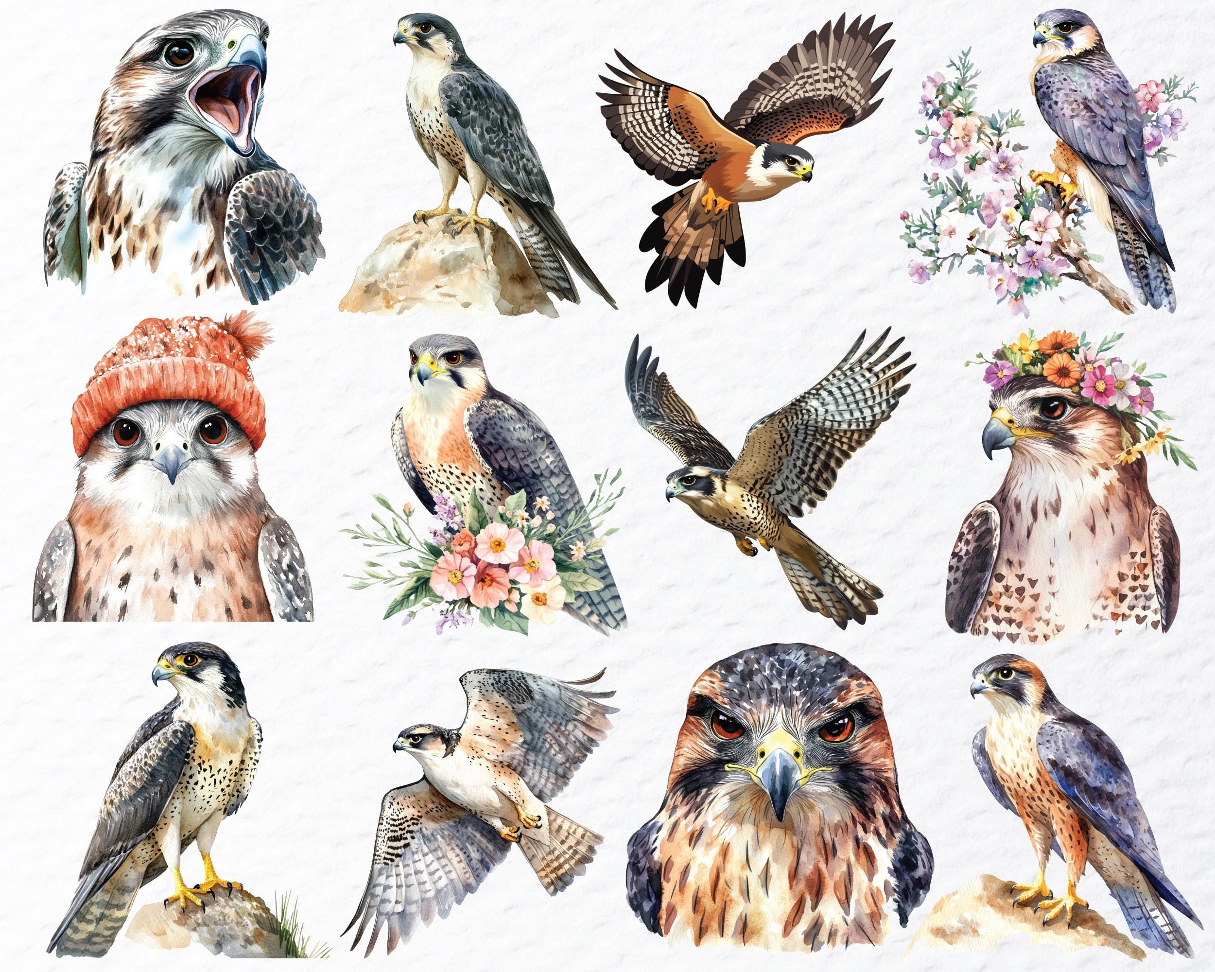 Watercolor Falcon Clipart Bundle: Floral Peregrine, Flying Decals (PNG ...