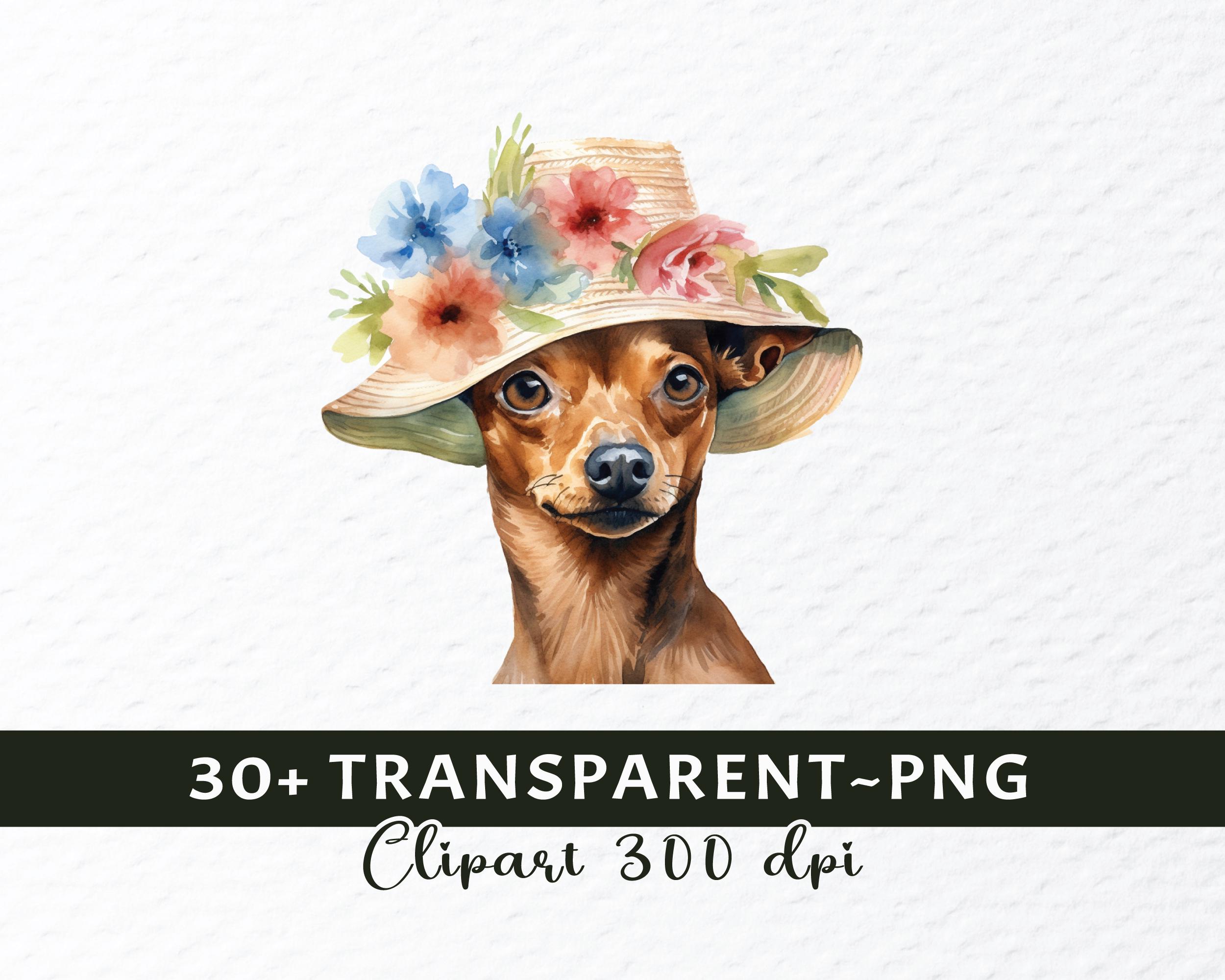 Miniature Pinscher Dog Png Clipart Bundle | Miniature Pinscher Png ...