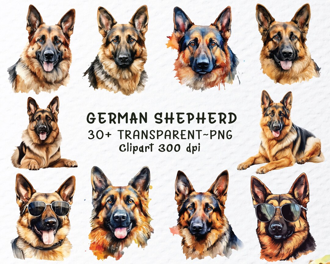 Watercolor German Shepherd Clipart Bundle: Dog Breed PNG Files (digital ...